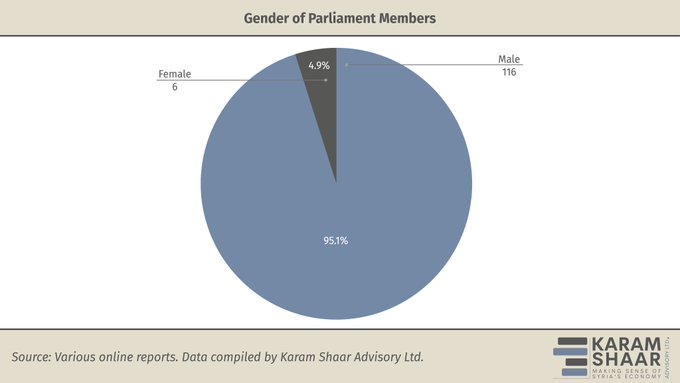 Syria’s 2025 Assembly: Gender Gaps - Karam Shaar Advisory LTD